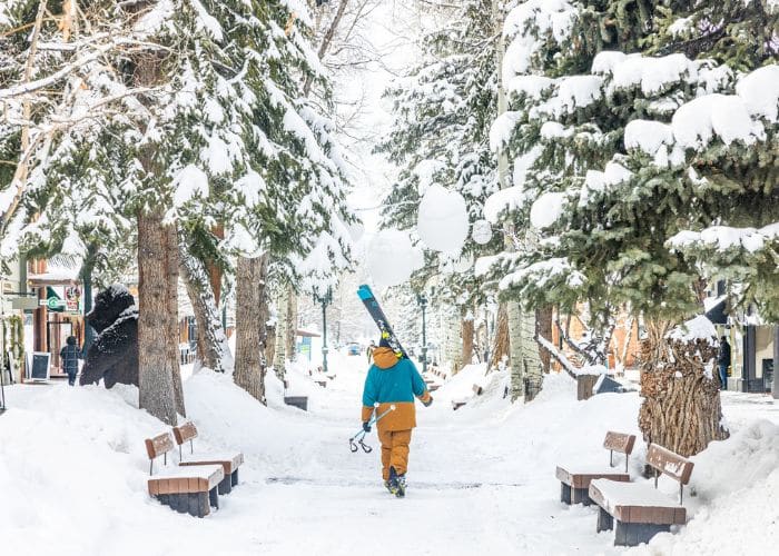 ASpen Village - Jigsaw Travel